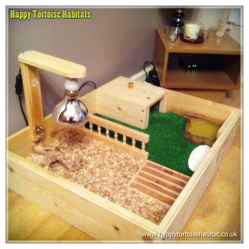Tortoise Tables Archives - Happy Tortoise Habitats