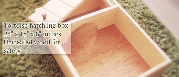 Happy Tortoise Habitats Tortoise Tables