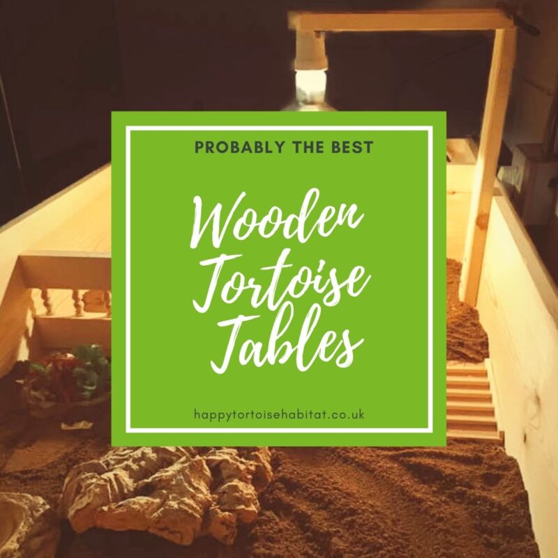 Happy Tortoise Habitats | Handcrafted Tortoise Tables & Accessories UK